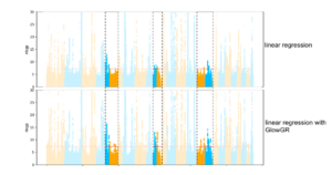 GloWGR Introduction and How to Accelerate Genetic mixed models for ...